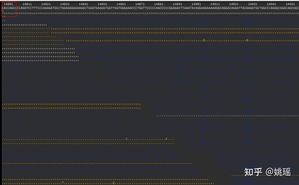 SAMtools-为什么它是生物信息学必备工具？ - 知乎