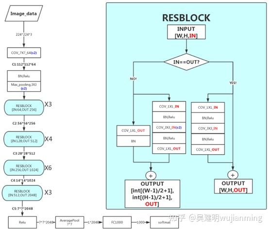 ResNet50结构 - 知乎