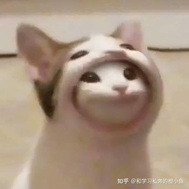 超有趣！如何把Pop Cat作为我的回收站图标 - 知乎