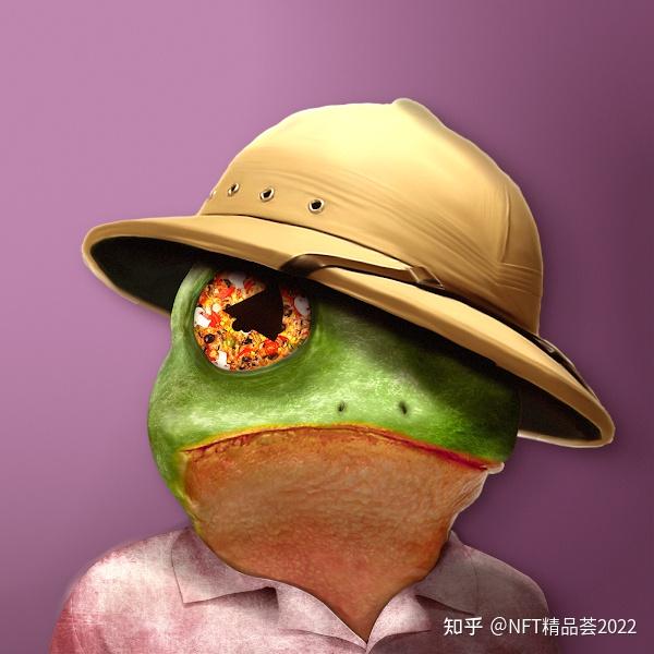 NFT精品荟0410-Notorious Frogs - 知乎