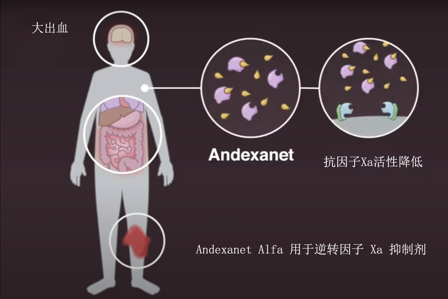 Ondexxya(andexanet alfa)在日获批用于逆转Xa因子抑制剂患者的急性大出血 - 知乎