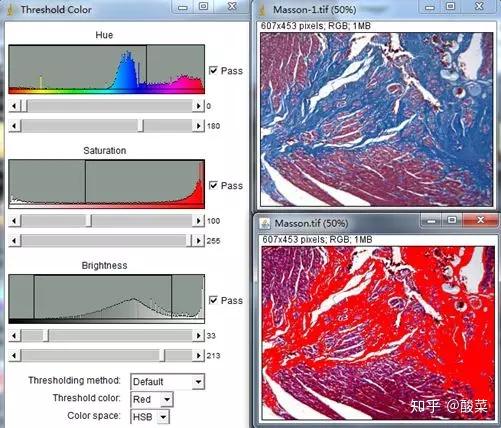 如何用ImageJ进行面积分析？ - 知乎