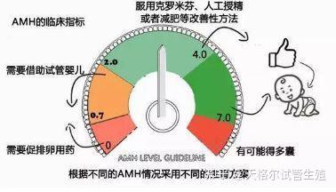 AMH检查到底是什么？手把手教你看懂AMH值！ - 知乎