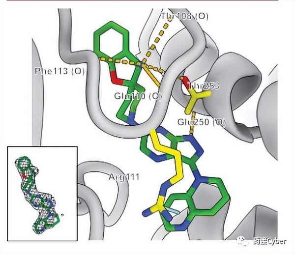 解析Relay Therapeutics开发的SHP2抑制剂GDC-1971(RLY-1971)优化 - 知乎