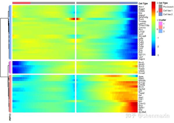 Monocle2轨迹分析 - 知乎