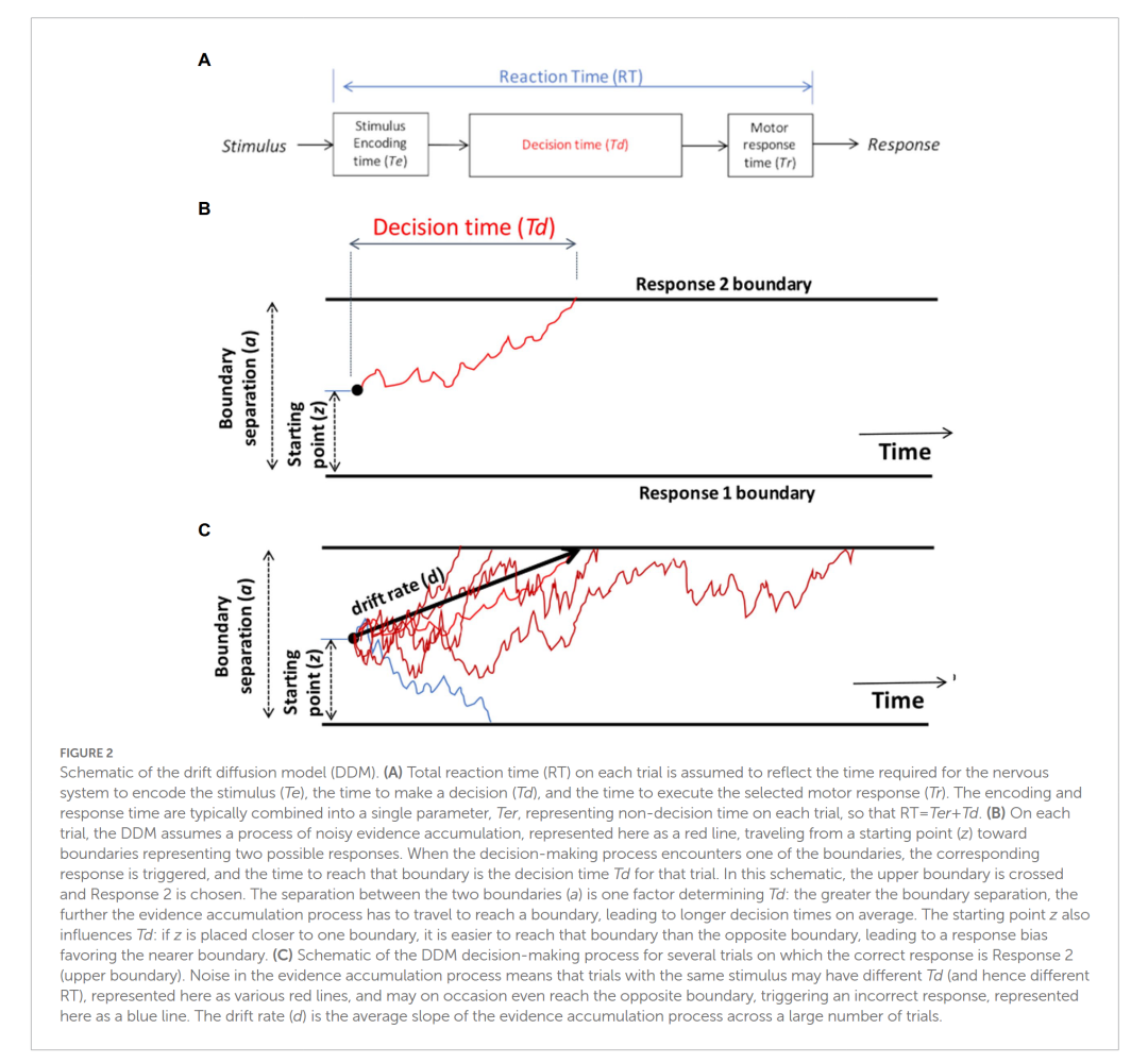 文献荐读03:漂移扩散模型(DDM)的原理和代码实现 - 知乎