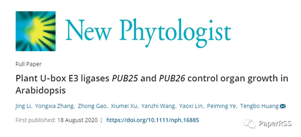 New Phytol|植物U-box E3连接酶PUB25和PUB26控制拟南芥器官生长 - 知乎