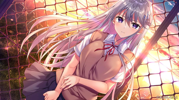 「每周Galgame新闻速递 第89期」《飞鸟会长不肯认输！》汉化发布，《遥か碧の花嫁に》制作完成 - 知乎