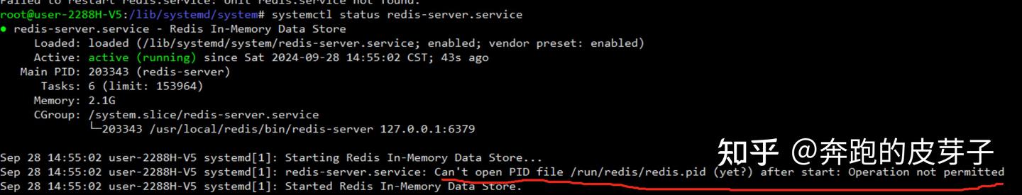 redis-server.service: Can't open PID file /run/redis/redis.pid - 知乎