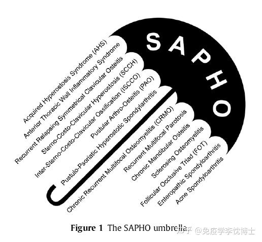 被低估的罕见病——SAPHO综合征 - 知乎