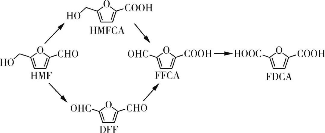 北京工商大学：HMF合成FDCA多种路线进展 - 知乎