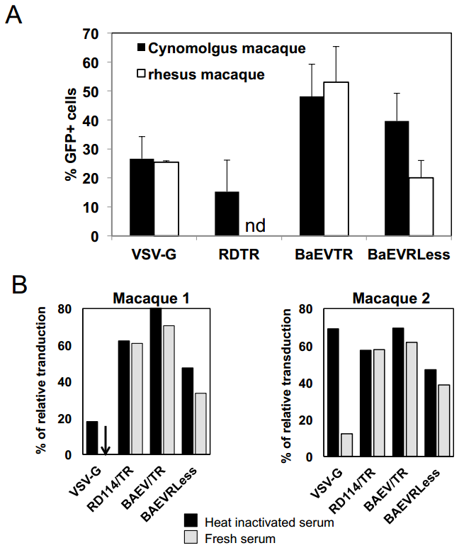 【新品推荐】狒狒内源性逆转录病毒包膜糖蛋白假型慢病毒（BaEV-LVs）——实现低剂量、低细胞因子依赖及高静止期细胞转导 - 知乎
