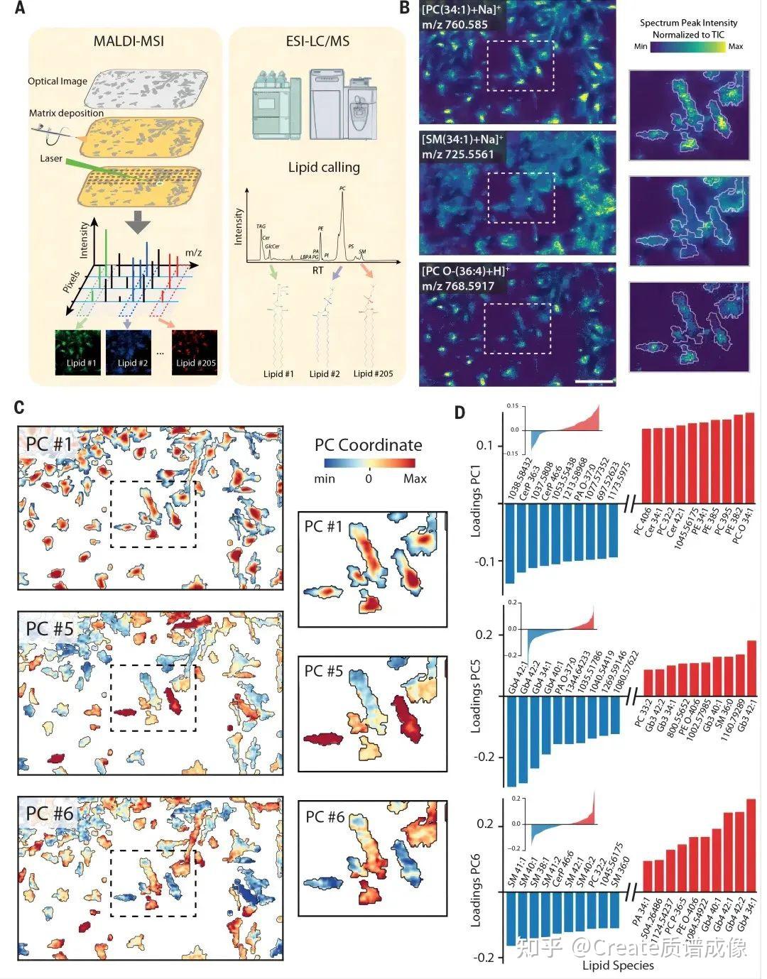 Create质谱成像：TransMIT AP-SMALDI 5AF在生物学研究中的应用 - 知乎