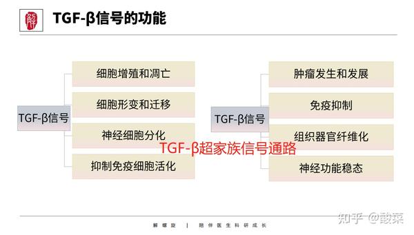 一个信号通路撑起84.6分的Nature综述，这些图解打通你的任督二脉 - 知乎