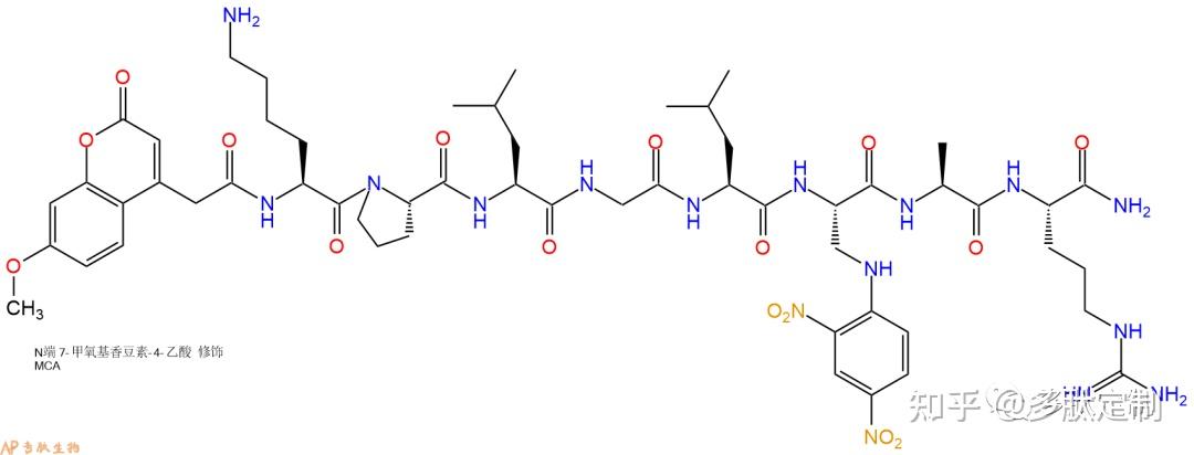 基质金属蛋白酶MMP-1/MMP-8/MMP-13/MMP-14荧光底物/720710-69-0 - 知乎