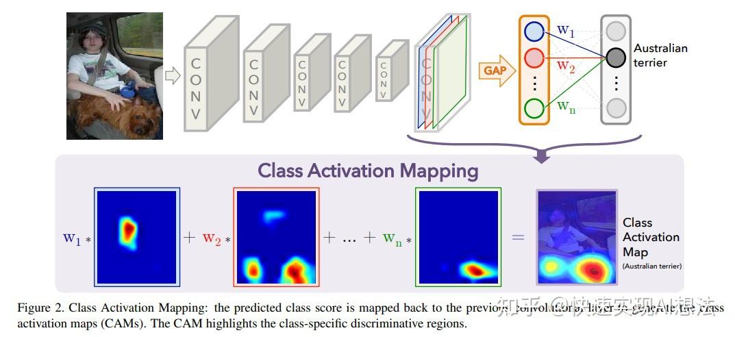 CheXNet-CAM：CT 影像肺炎检测可视化 - 知乎