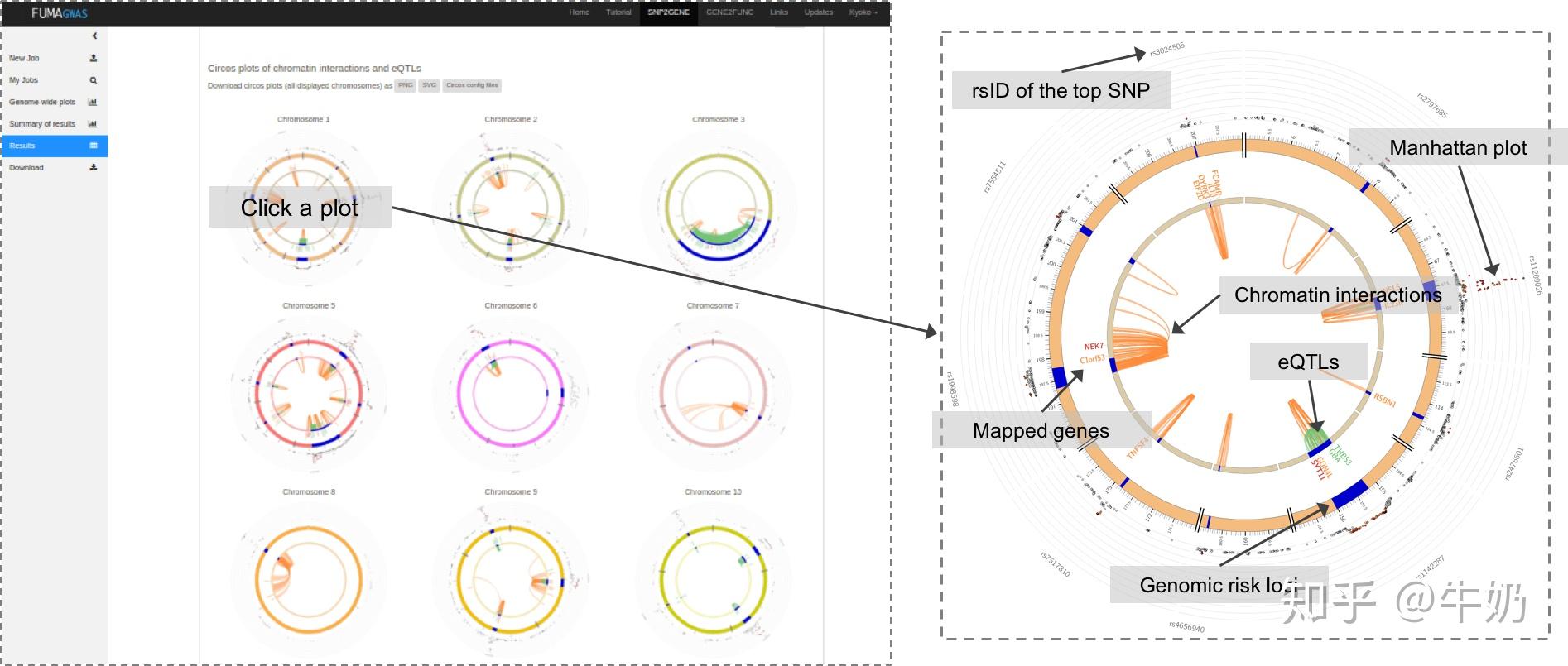 SNP功能注释网站合集 - 知乎