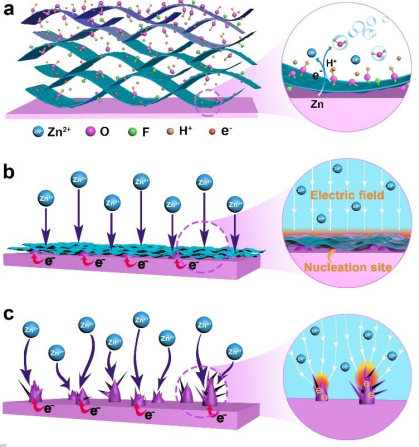 Angew：MXene修饰Zn负极有效抑制枝晶生长 - 知乎