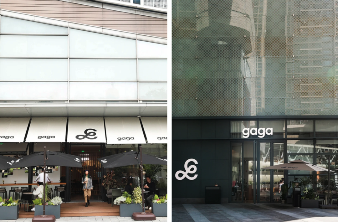 Gaga品牌的崛起：从街角茶馆到国际舞台 - 知乎