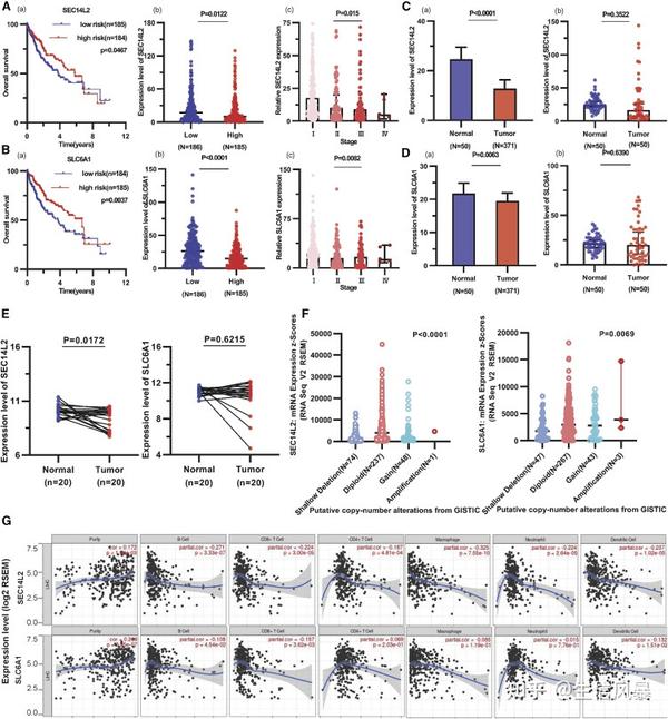 Myc相关ceRNA网络的构建揭示了肝细胞癌的预后特征 - 知乎