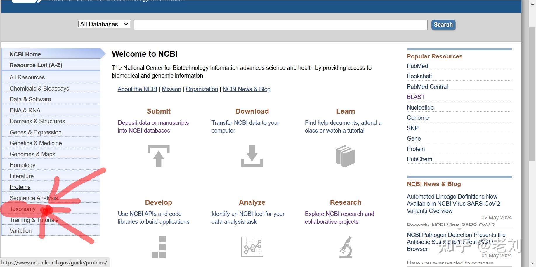 怎么在NCBI上查找微生物的纲目科属种 - 知乎