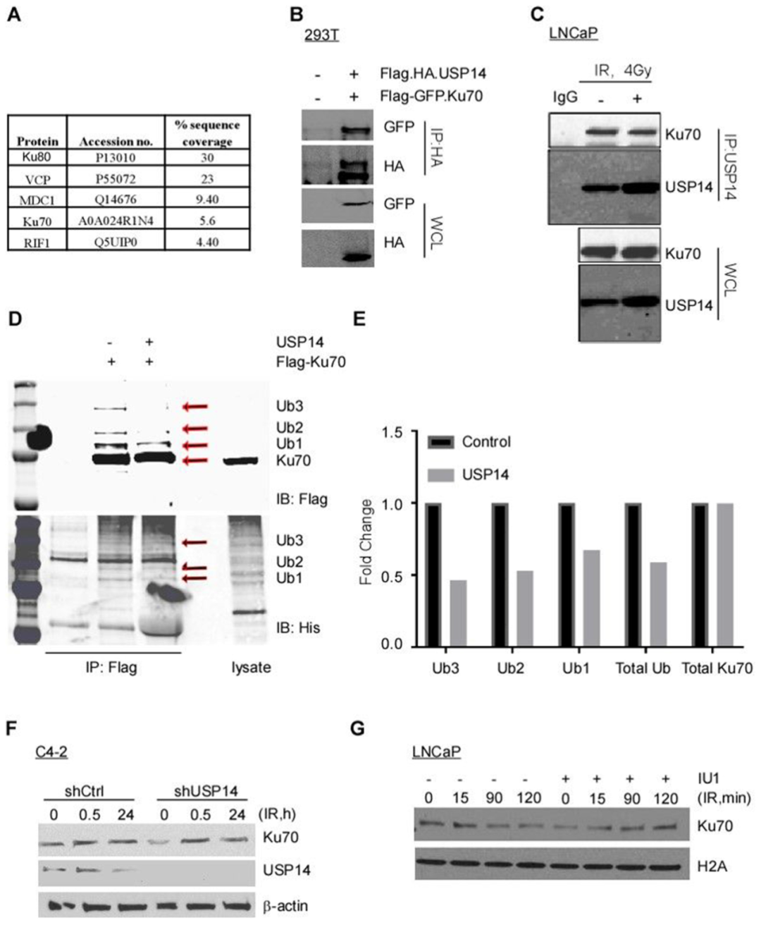USP14是Ku70的去泛素酶，是自噬和PTEN缺陷细胞中非同源末端连接修复的关键因素 - 知乎