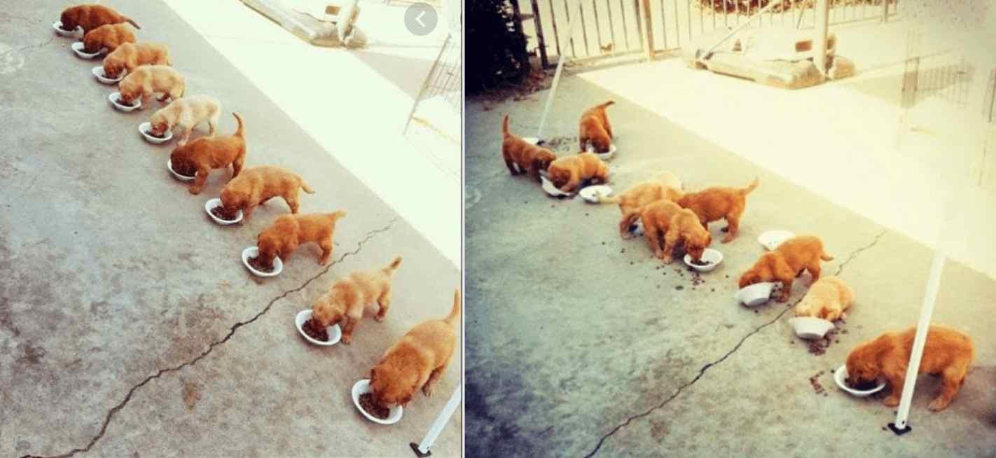 为Pandas加速，Dask, Ray, Modin, Vaex, RAPIDS哪个好呢？ - 知乎