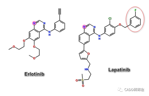 kinase结构特征及hinge-binding - 知乎