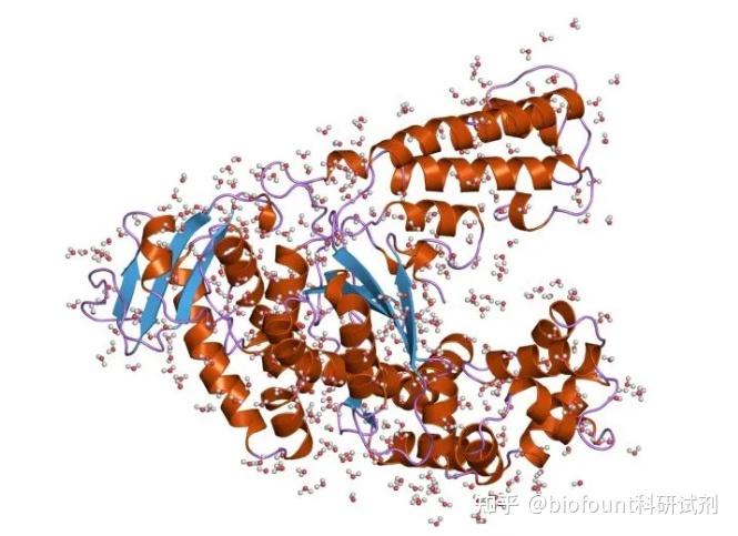 Taq 和 Pfu 聚合酶有什么区别 - 知乎