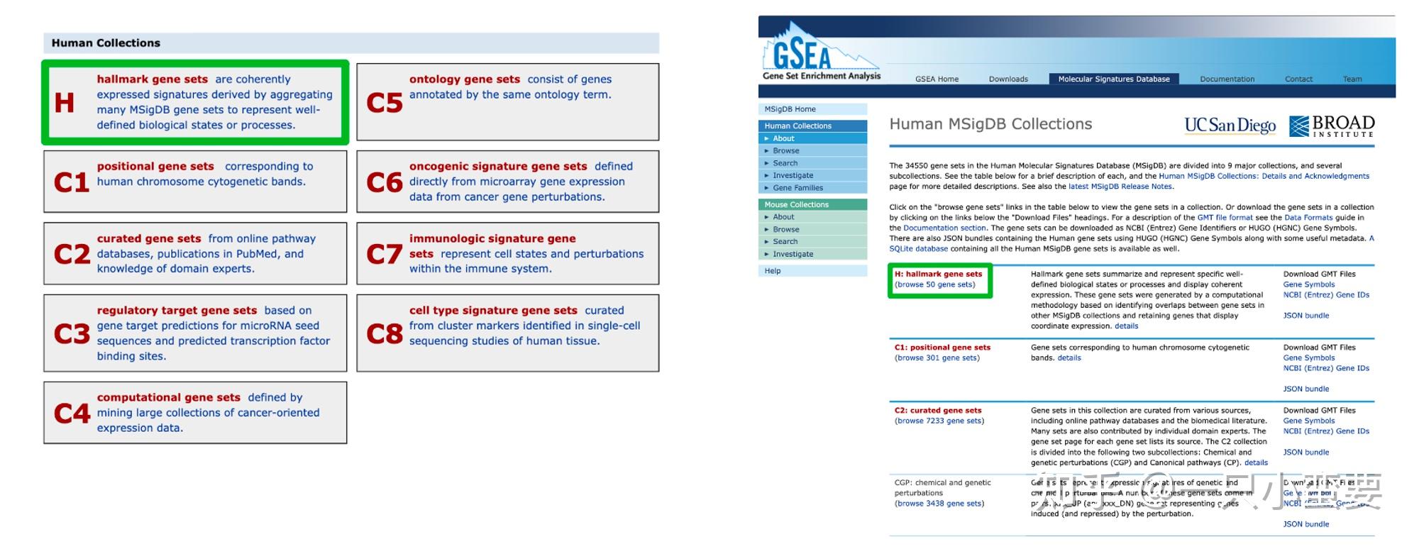 看完还不会来揍我 | GSEA富集分析详解（一）—— 代码实操 | MSigDB数据库介绍 | 附完整代码 + 注释 - 知乎
