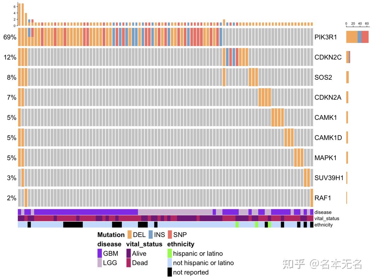 TCGA 数据分析实战 —— CNV 与突变 - 知乎