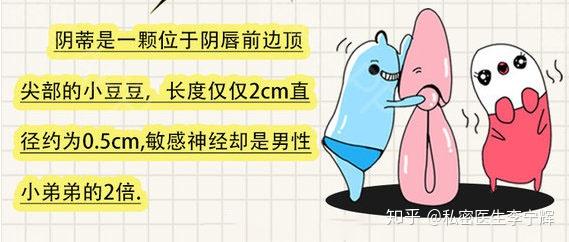 阴蒂肥大可以通过手术得到缓解吗? 知乎