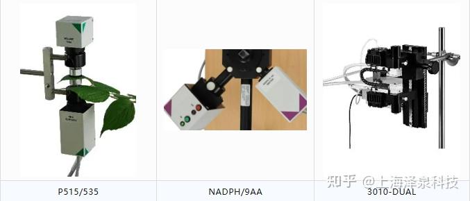 双通道调制叶绿素荧光仪DUAL-PAM-100 - 知乎