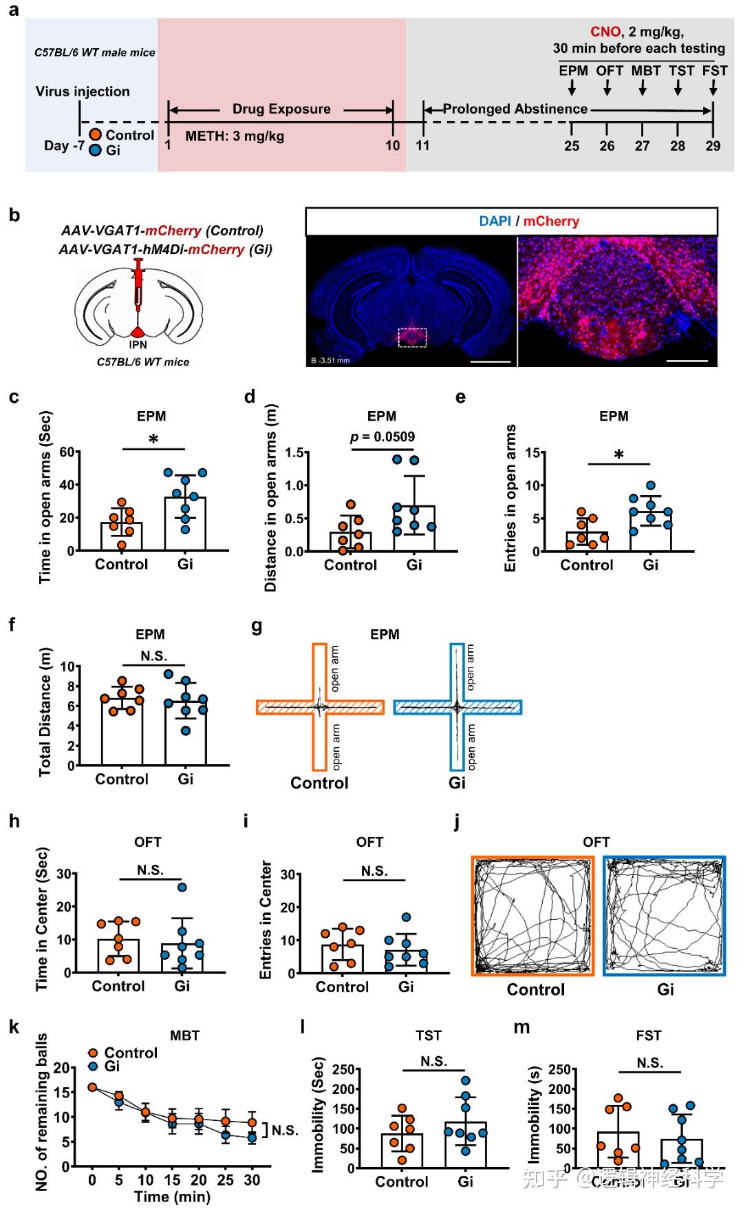 J Neurosci︱南京中医药大学关晓伟/葛菲菲团队发现甲基苯丙胺戒断焦虑的新中枢机制 - 知乎
