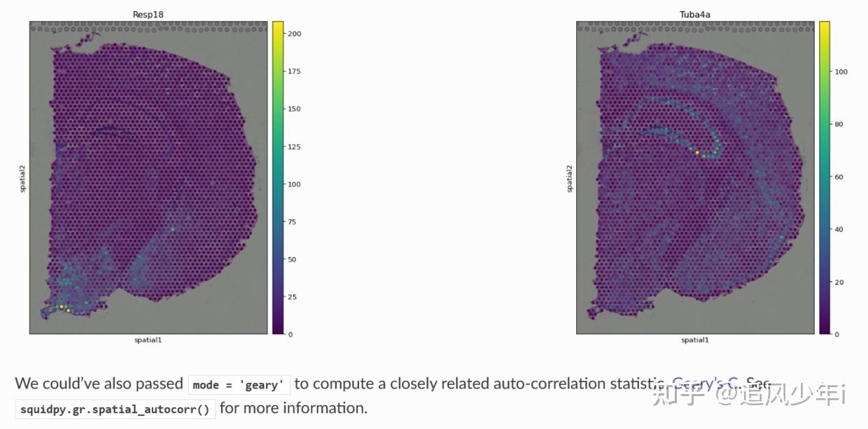 10X单细胞空间联合分析回顾之squidpy - 知乎