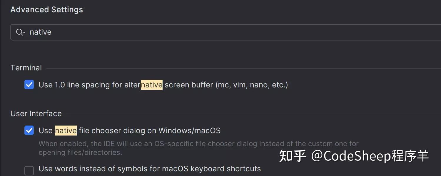 JetBrains再出手，最新IntelliJ IDEA 2025.1正式登场！ - 知乎