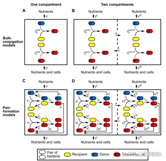 详解/药物代谢动力学 - 知乎