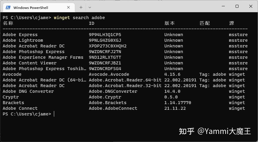 如何使用winget彻底替代各种管家的软件管理工具 - 知乎