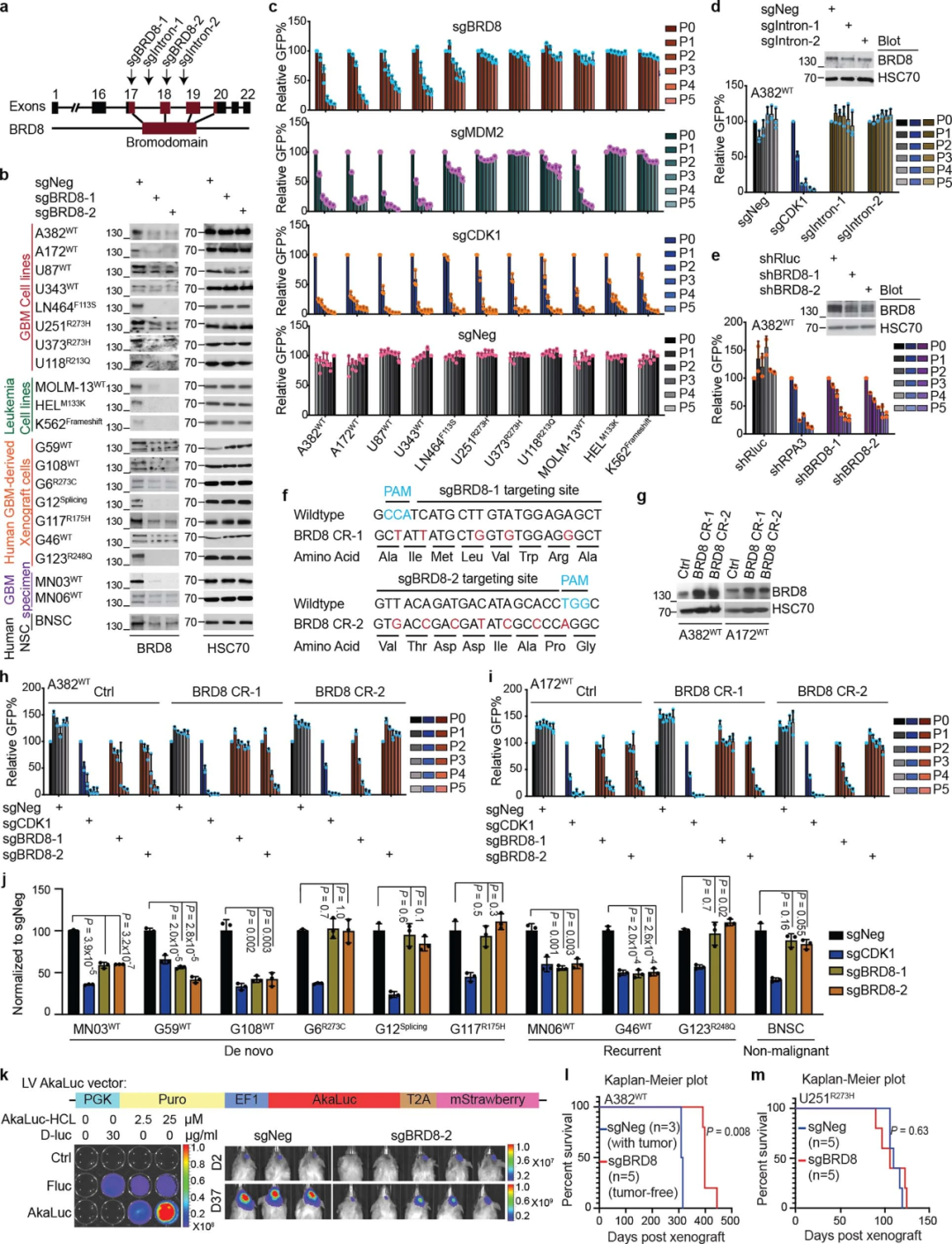 Nature Brd8通过p53网络的表观遗传重编程维持胶质母细胞瘤 知乎
