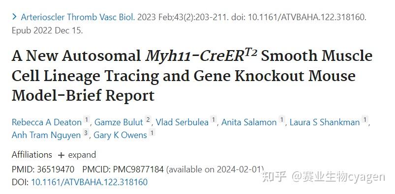 弗吉尼亚大学发现全新Myh11-CreERT2-RAD小鼠可作为平滑肌细胞研究的新工具 - 知乎