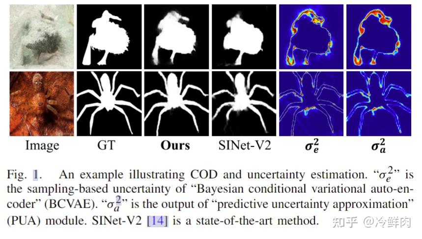 【阅读笔记】Predictive Uncertainty Estimation for Camouflaged Object Detection - 知乎