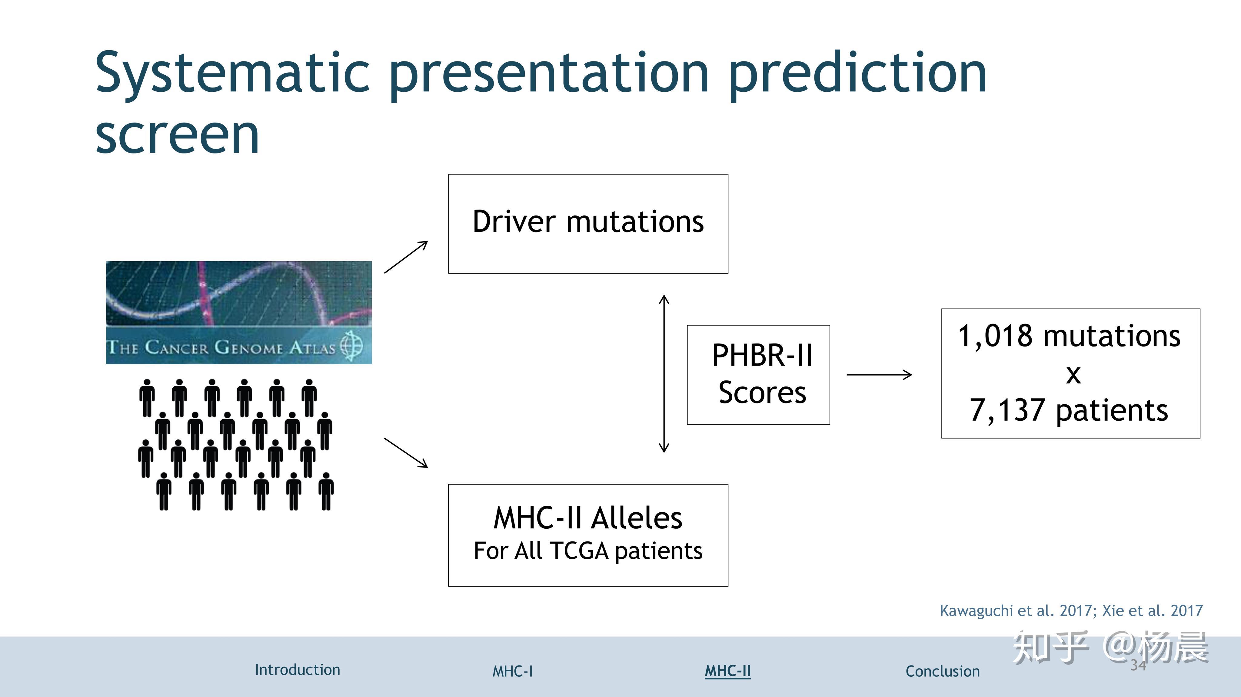 MHC在肿瘤发展过程中的作用 - 知乎