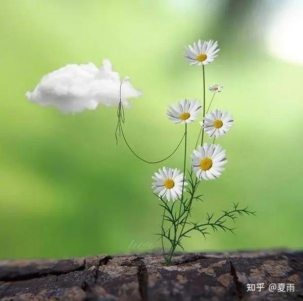 不抱怨的世界,不抱怨的自己 知乎