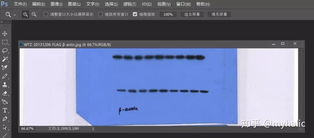 WB图片处理-教你利用Photoshop做出符合杂志要求的WB图片！ - 知乎