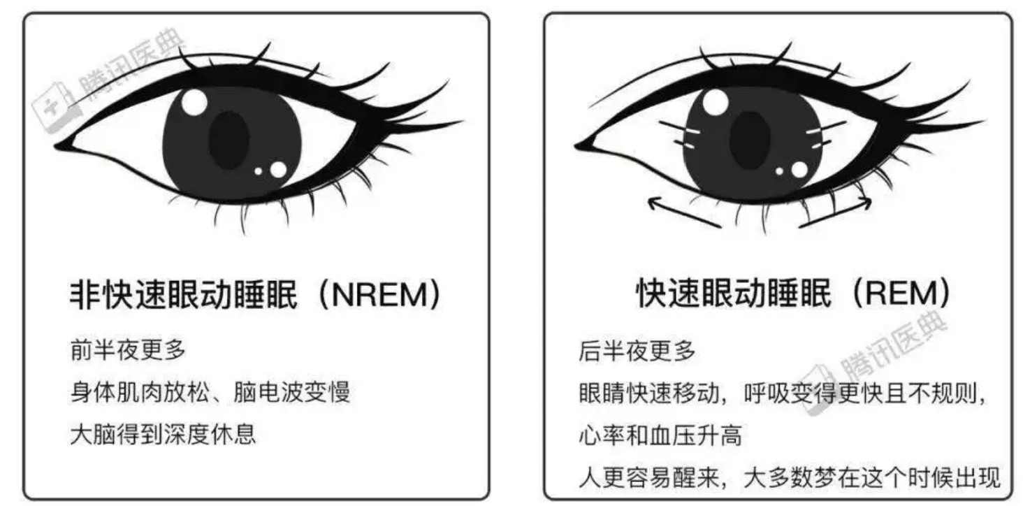 最新研究：我们在梦中看到的东西和快速眼动睡眠的眼球运动之间有什么联系？ - 知乎