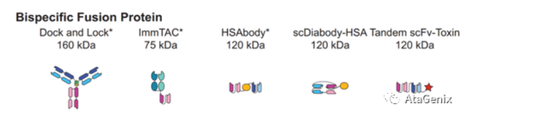 双特异抗体最全设计方案汇总 - 知乎