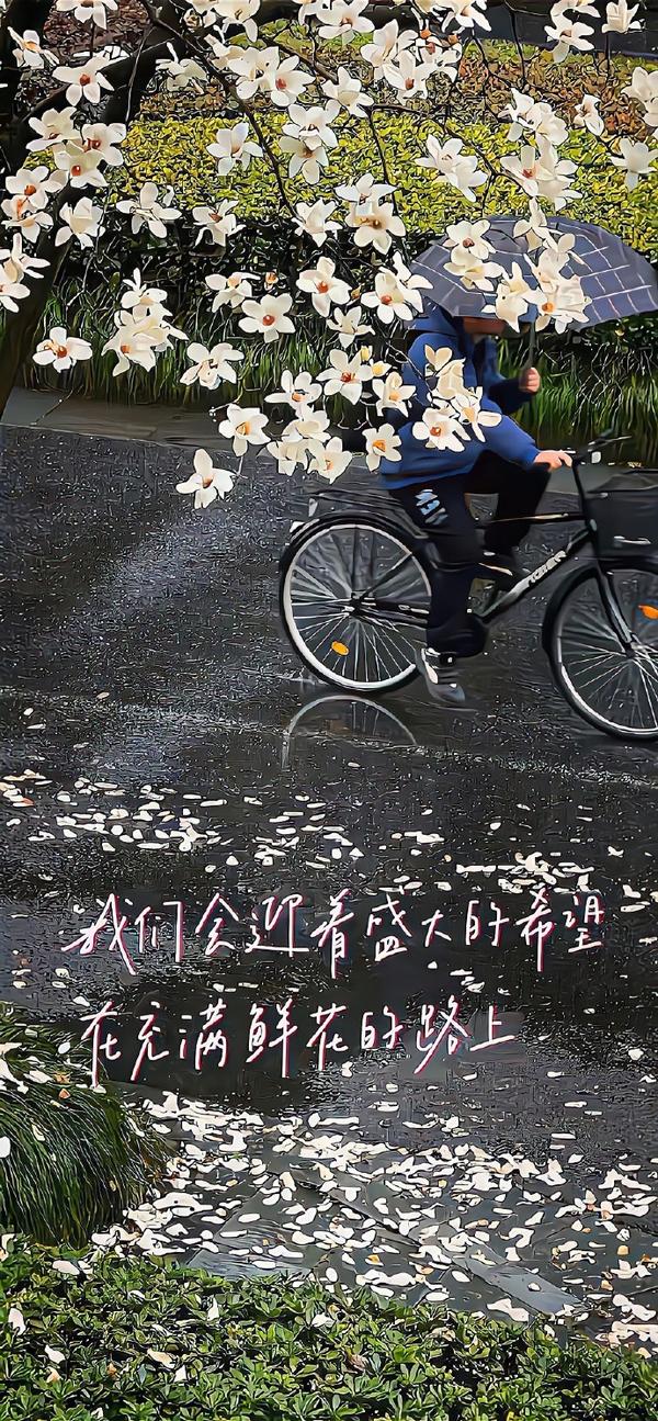 精选100+张手机精品壁纸！4K全面屏！ - 知乎