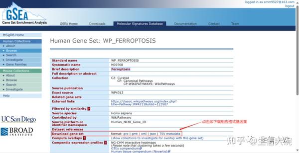 从GSEA下载目标基因集并使用maftools包绘制瀑布图 - 知乎