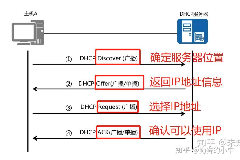 一文读懂DHCP协议 && DHCPv6协议 - 知乎