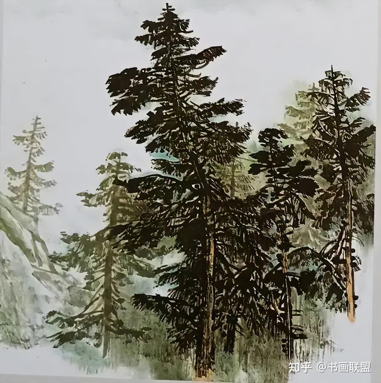 国画技法 松树的各种画法 - 知乎